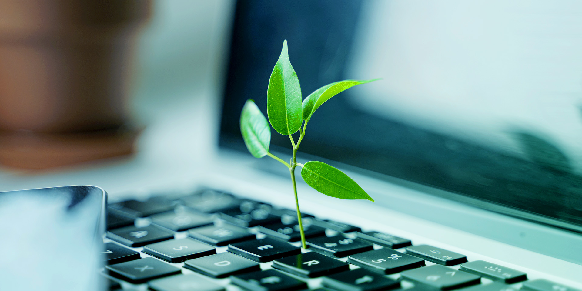 La sostenibilidad tecnológica - Serbatic